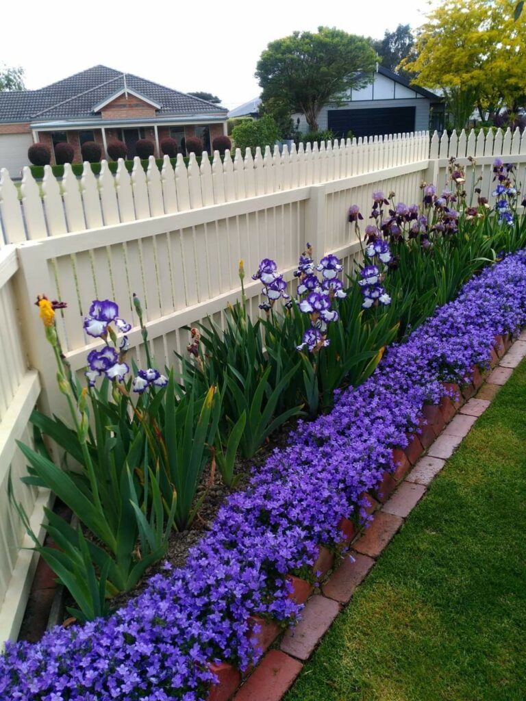 20 Inspiring Fence Ideas to Elevate Your Outdoor Space – Garden Ideas